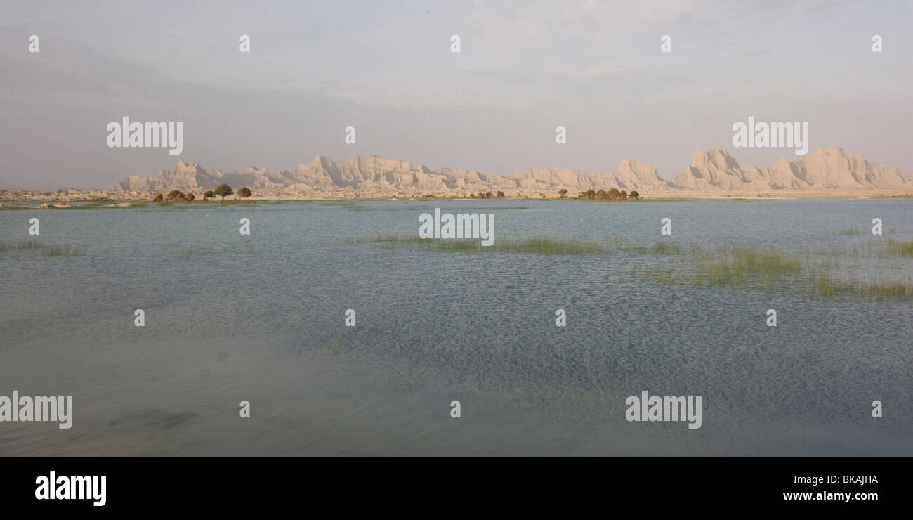 A seasonal marsh is formed in the desert after severe winter rains ...