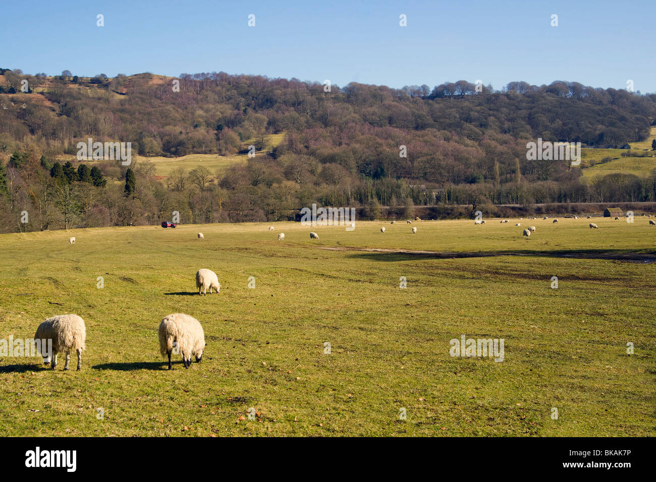 Peak district derwent valley hi-res stock photography and images - Alamy