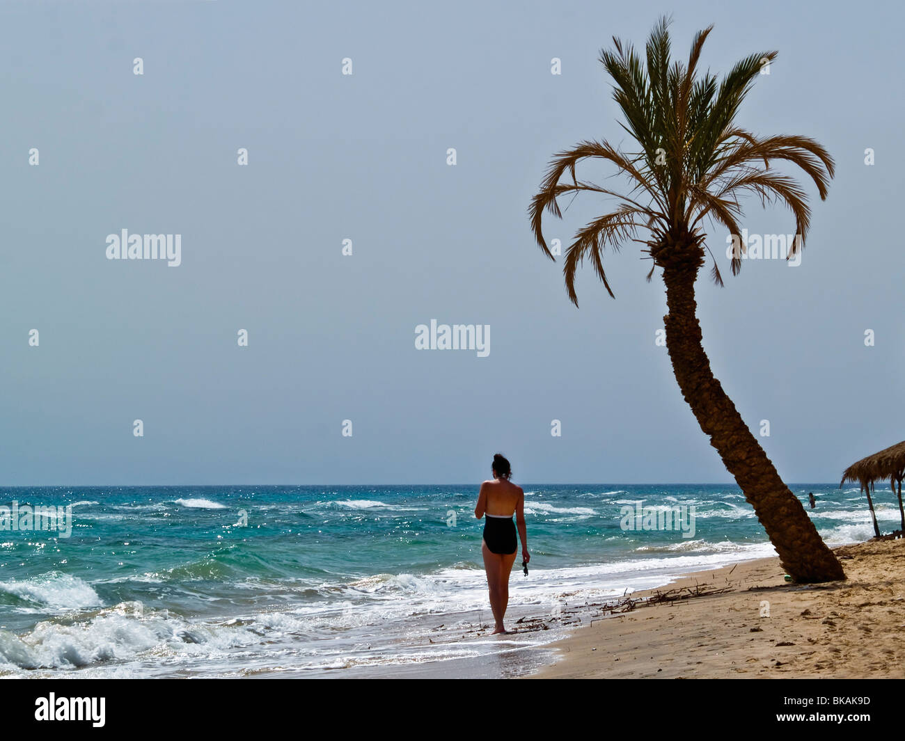 Sinai beach hi-res stock photography and images - Alamy