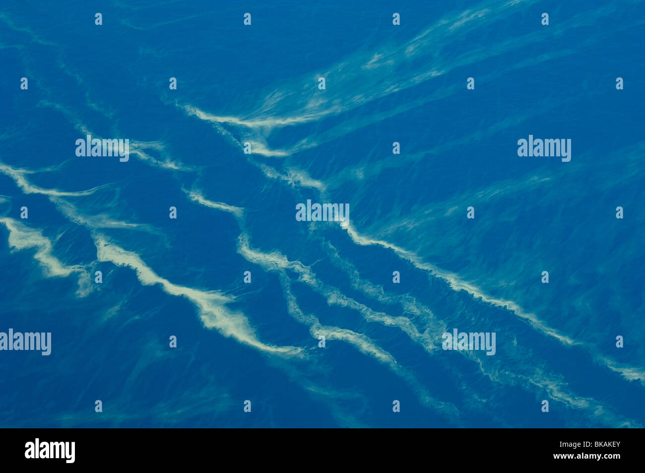 Aerial cyanobacteria, Trichodesmium, bloom off Queensland Coast ...