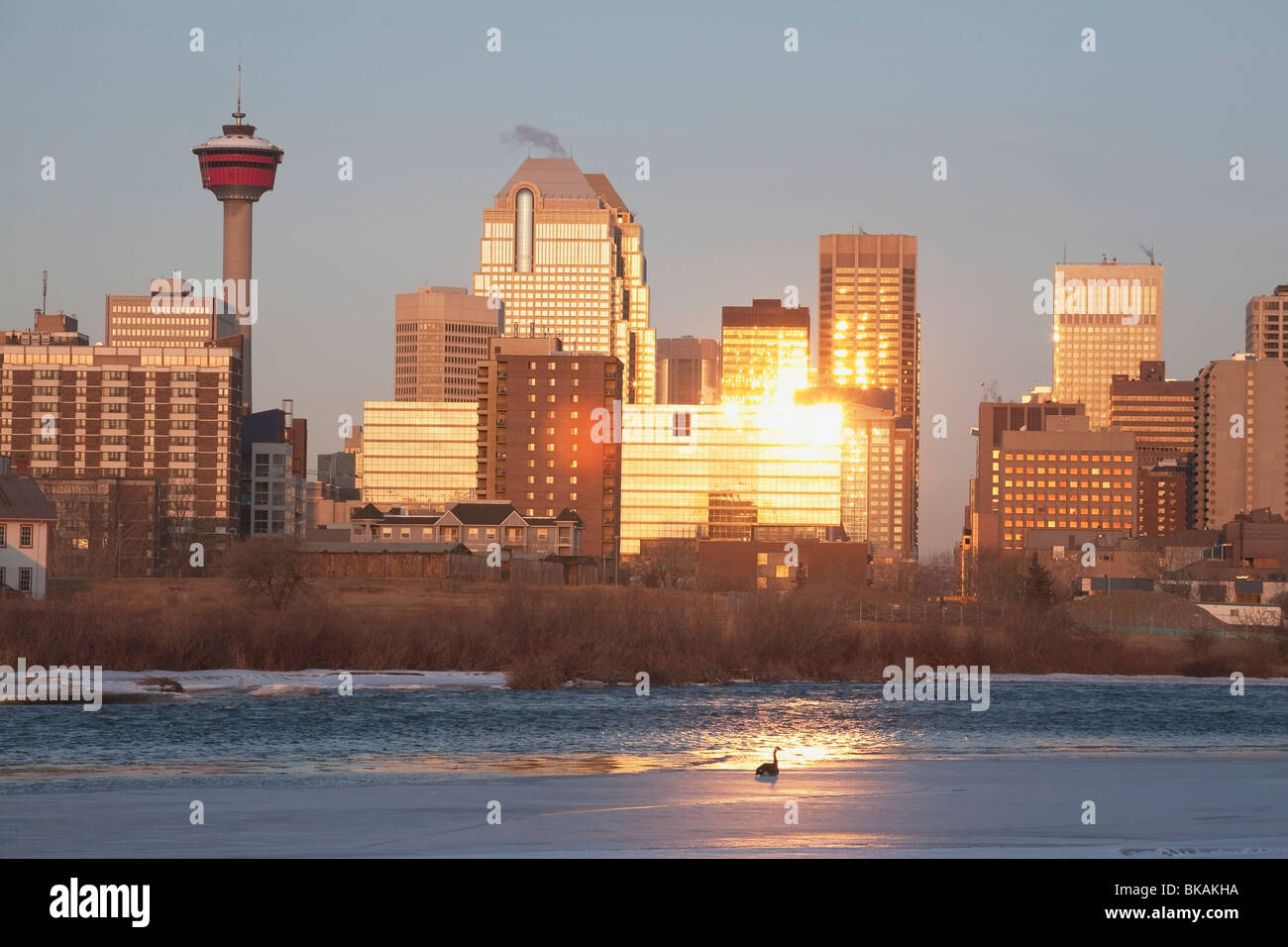 High river calgary hi-res stock photography and images - Alamy