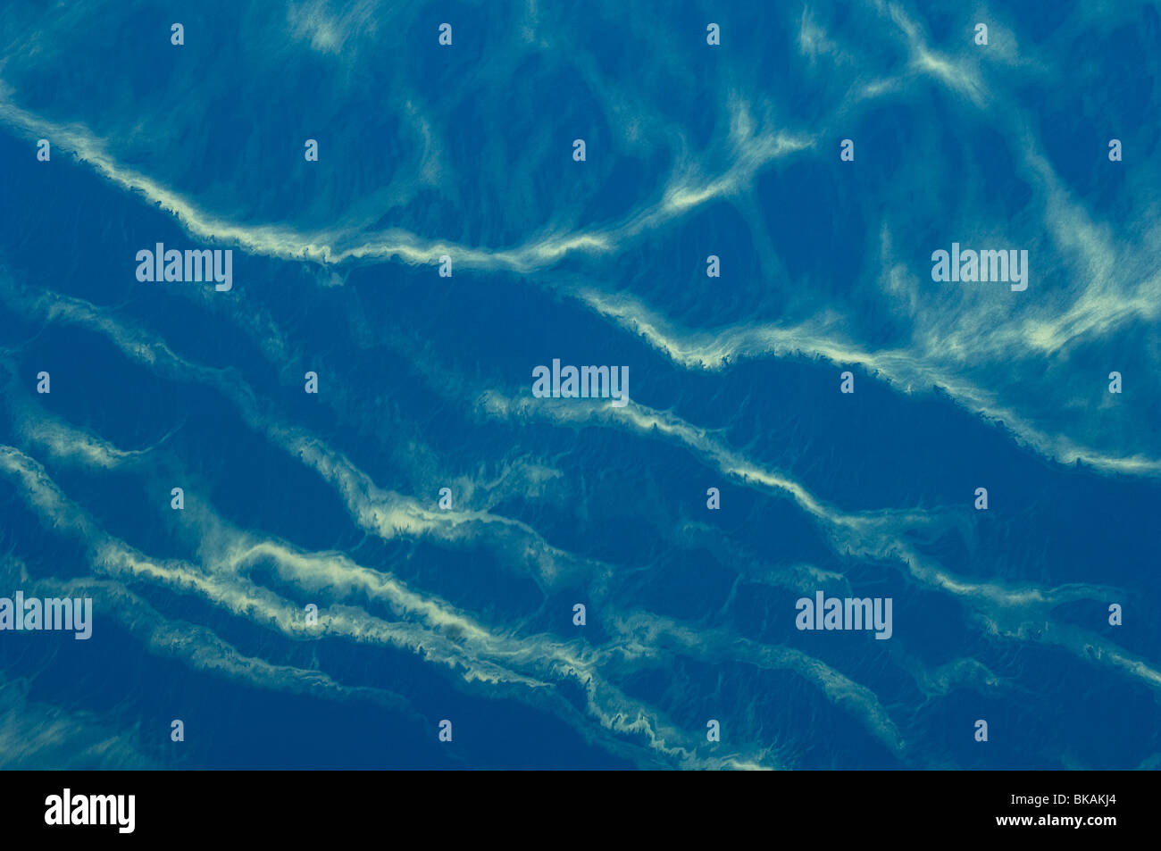 Aerial cyanobacteria, Trichodesmium, bloom off Queensland Coast ...