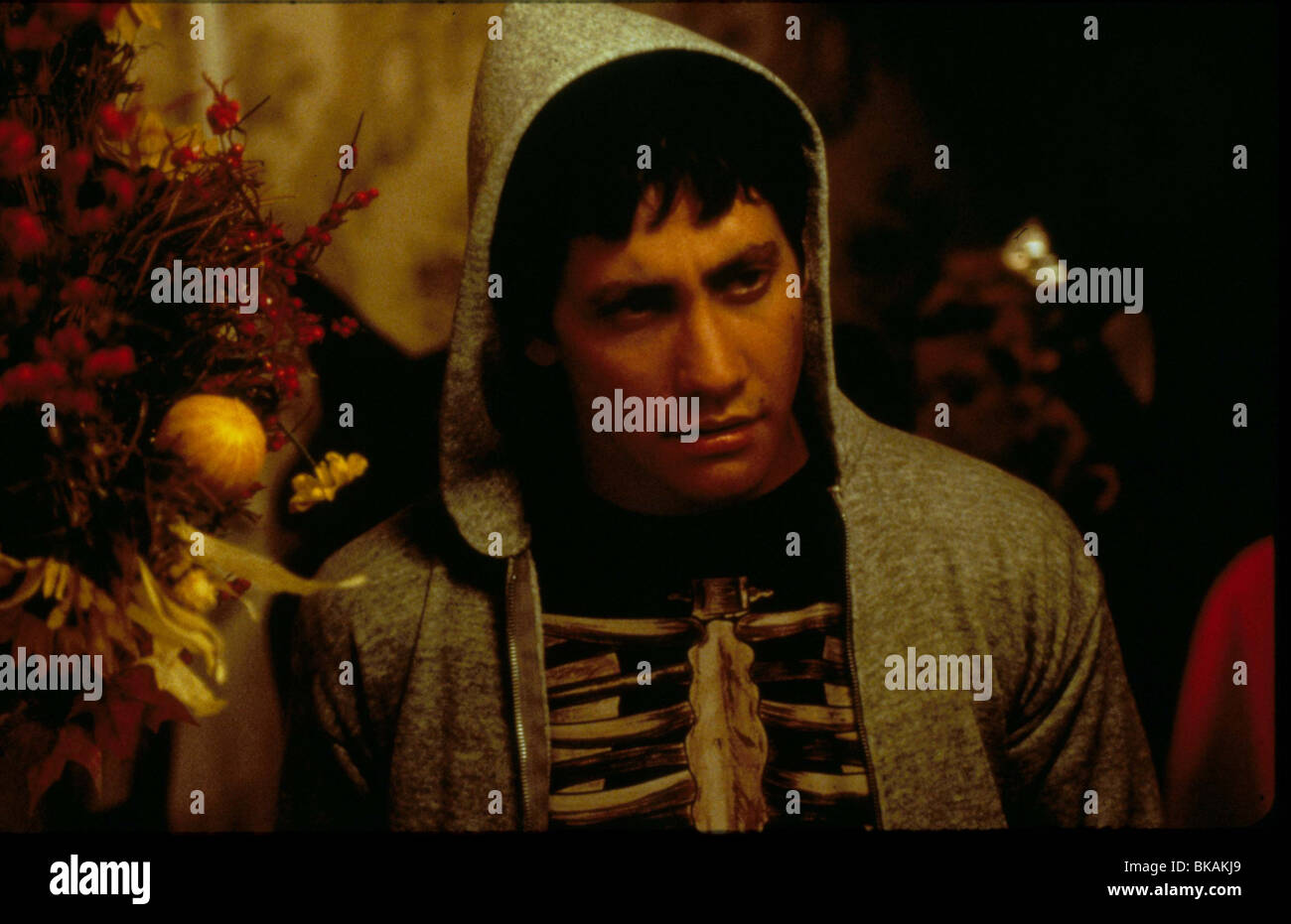 DONNIE DARKO JAKE GYLLENHAAL DNDK 005 Stock Photo - Alamy