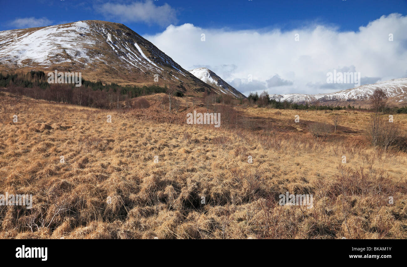 Snow capped Ben More in Glen More, Isle of Mull, Western Isles ...