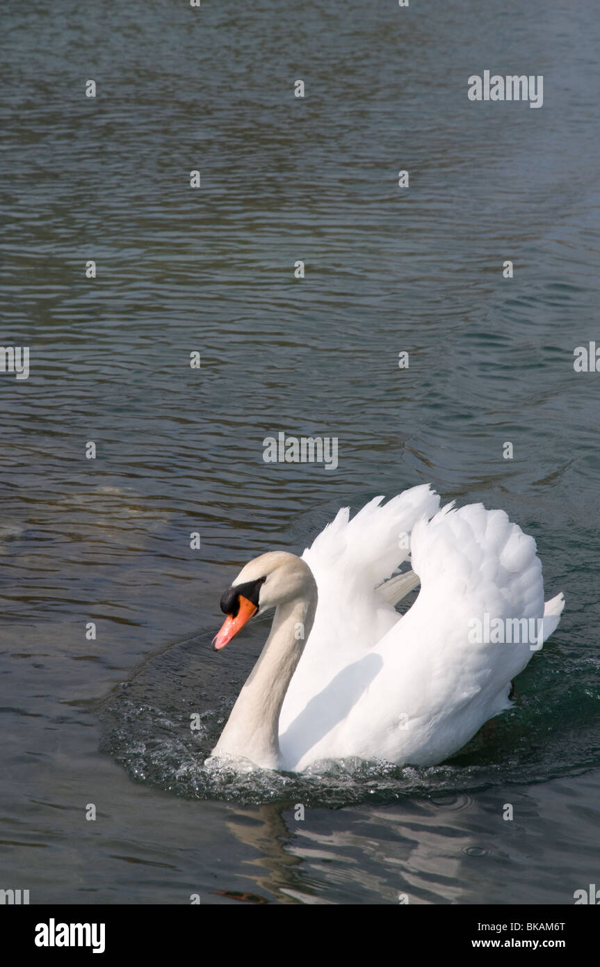Chasing sunrise hi-res stock photography and images - Alamy