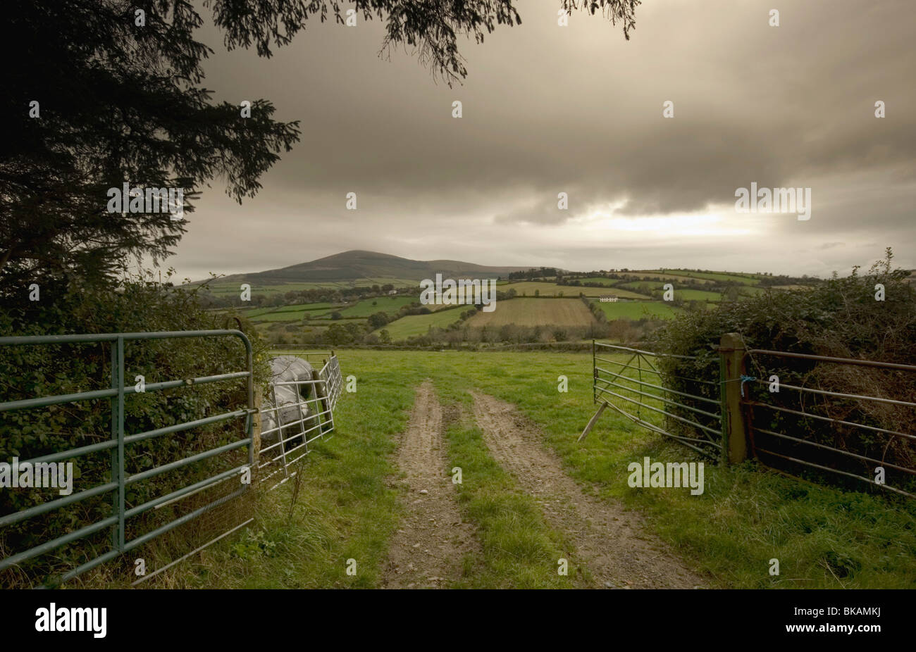 Road Through A Gate Stock Photo - Alamy