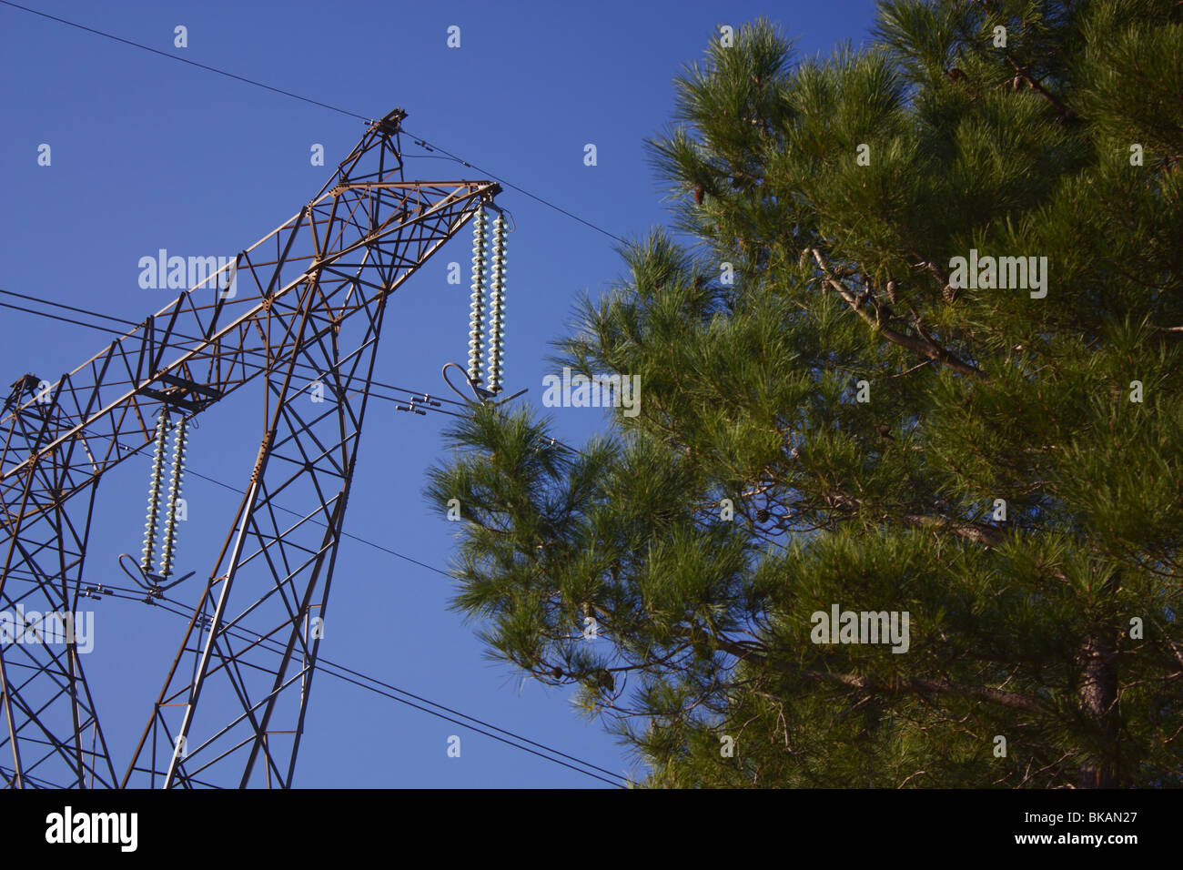 Electric power line pylon and high voltage lines near the pines are the ...