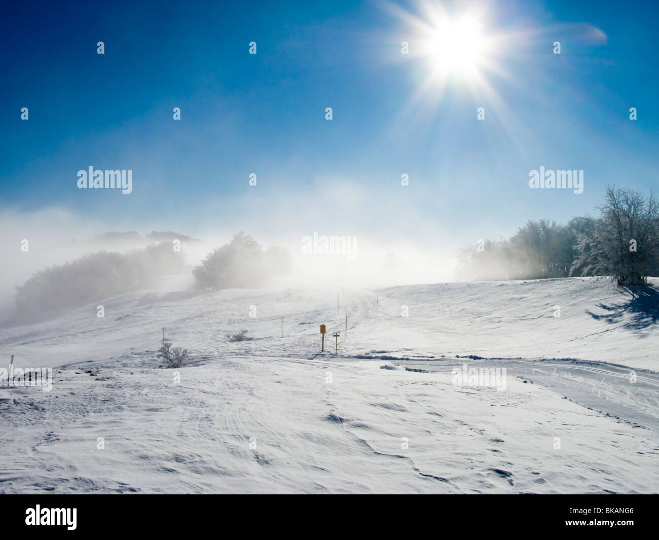 French / France winter snow landscape in the French Alpine resort of ...