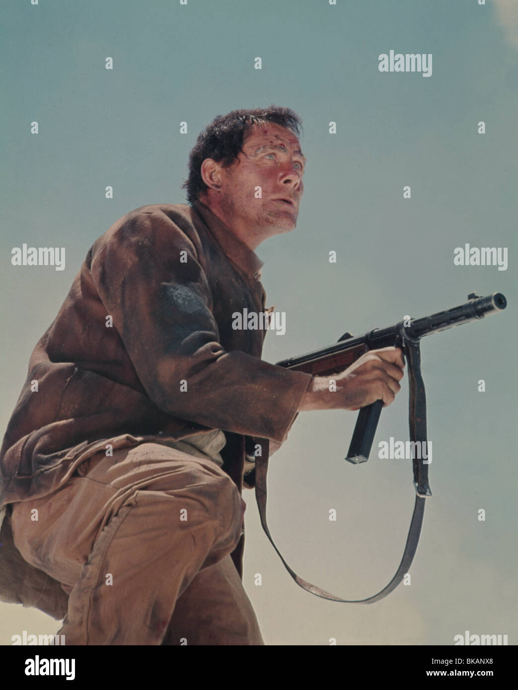 Bob Shaw Machines