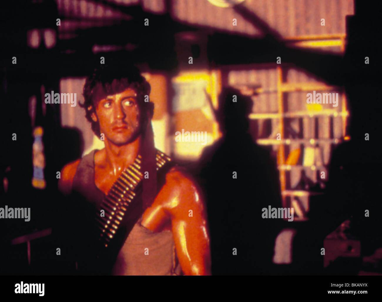 First blood sylvester stallone hi-res stock photography and images - Alamy