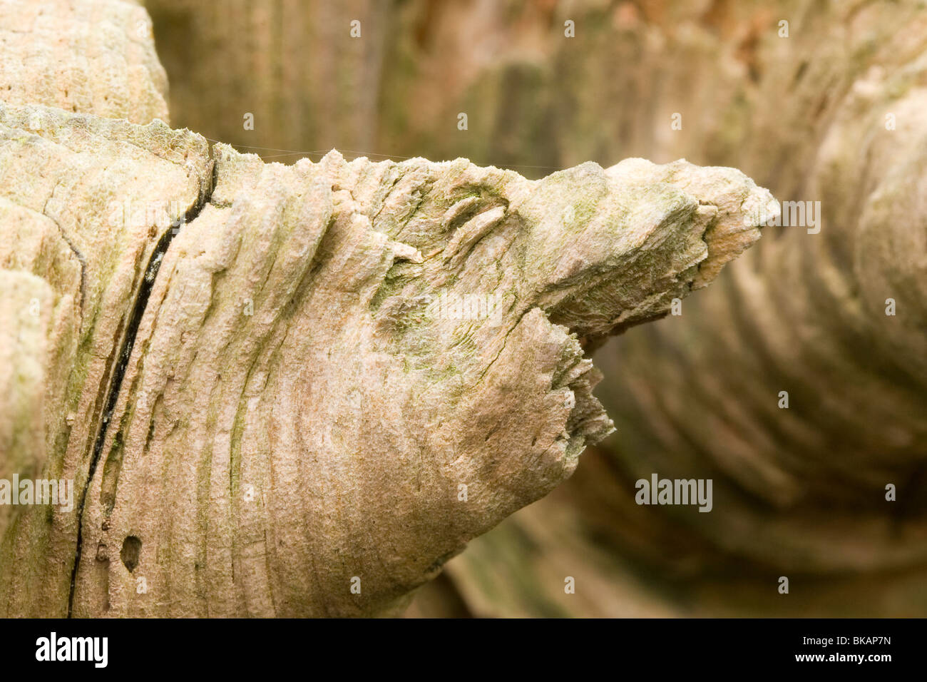 Hollow structure hi-res stock photography and images - Alamy