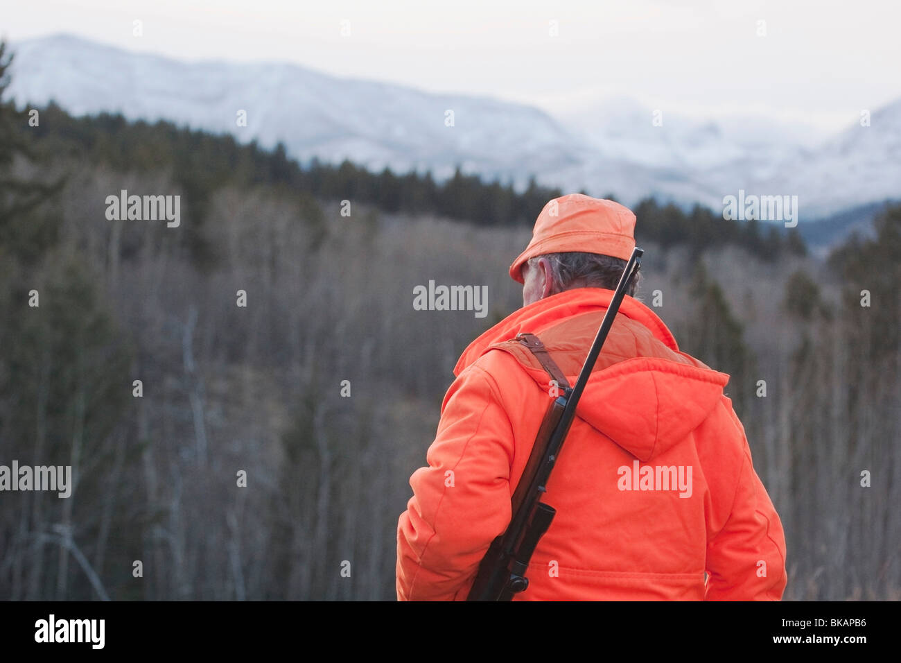 Senior hunter rifle forest hi-res stock photography and images - Alamy