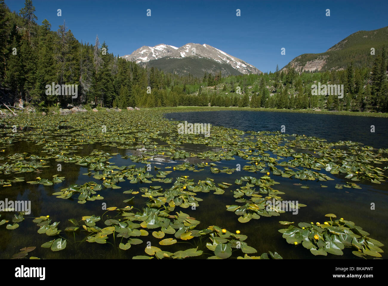 Cub lake and colorado hi-res stock photography and images - Alamy