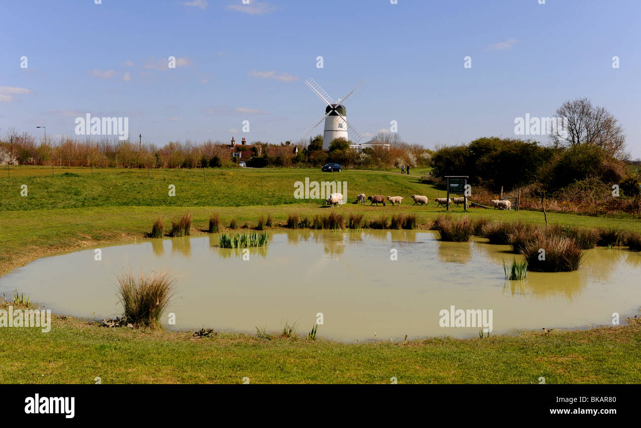 The Patcham windmill and pond on Green Ridge just north of Brighton UK ...