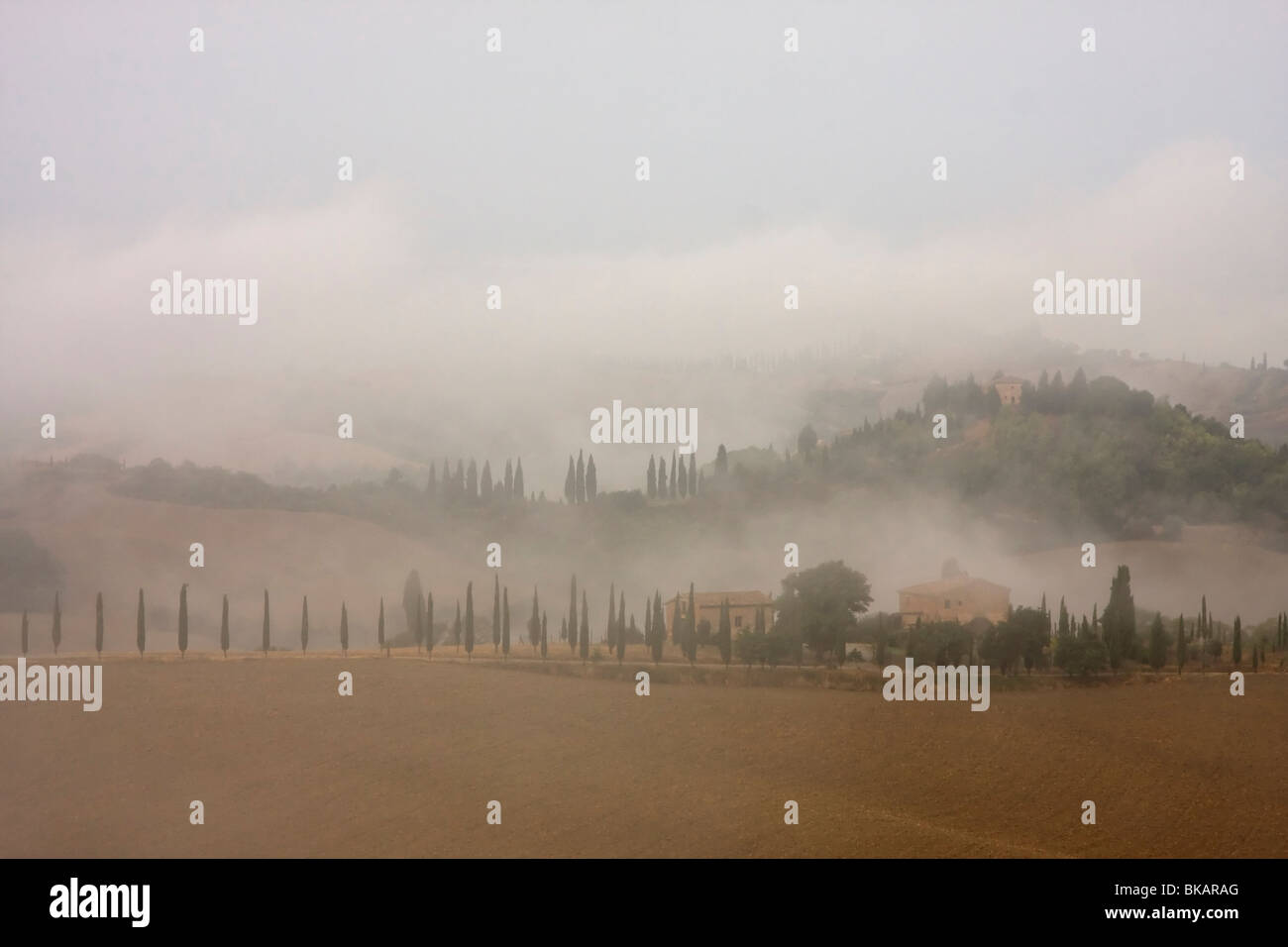 Early morning fog at Tuscany, Italy Stock Photo - Alamy