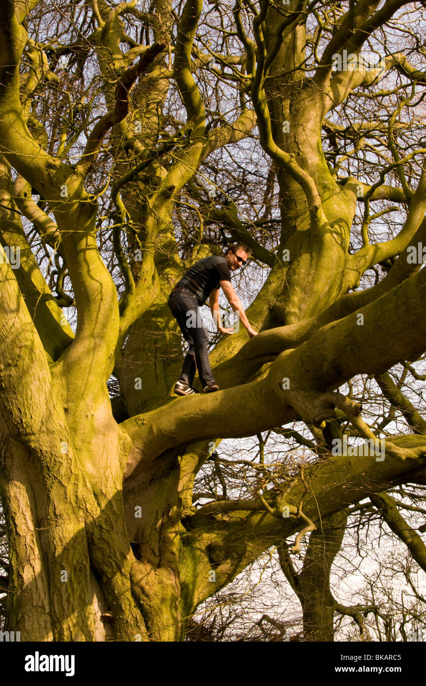 Tree to climb High Resolution Stock Photography and Images - Alamy