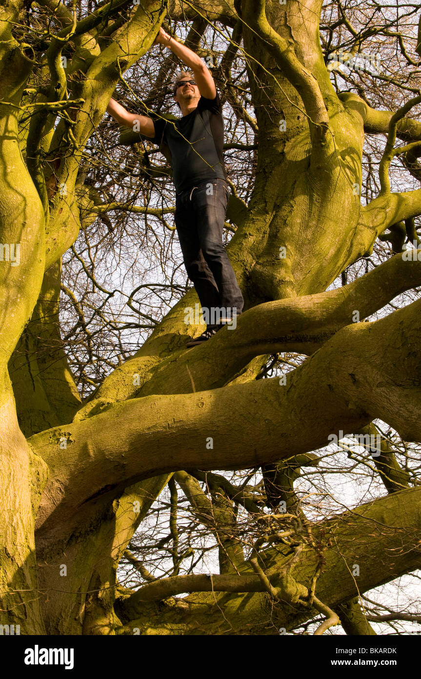 Trainers In Tree High Resolution Stock Photography and Images - Alamy