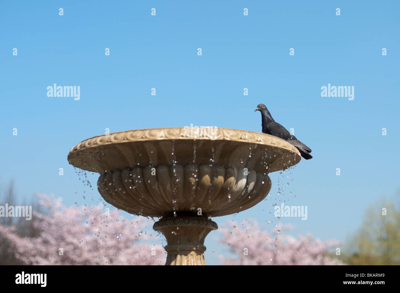 Spring fountain hi-res stock photography and images - Alamy
