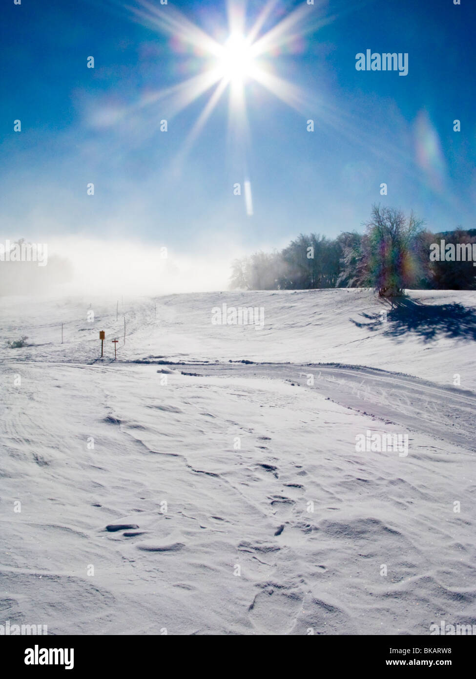 French / France winter snow landscape in the French Alpine resort of ...