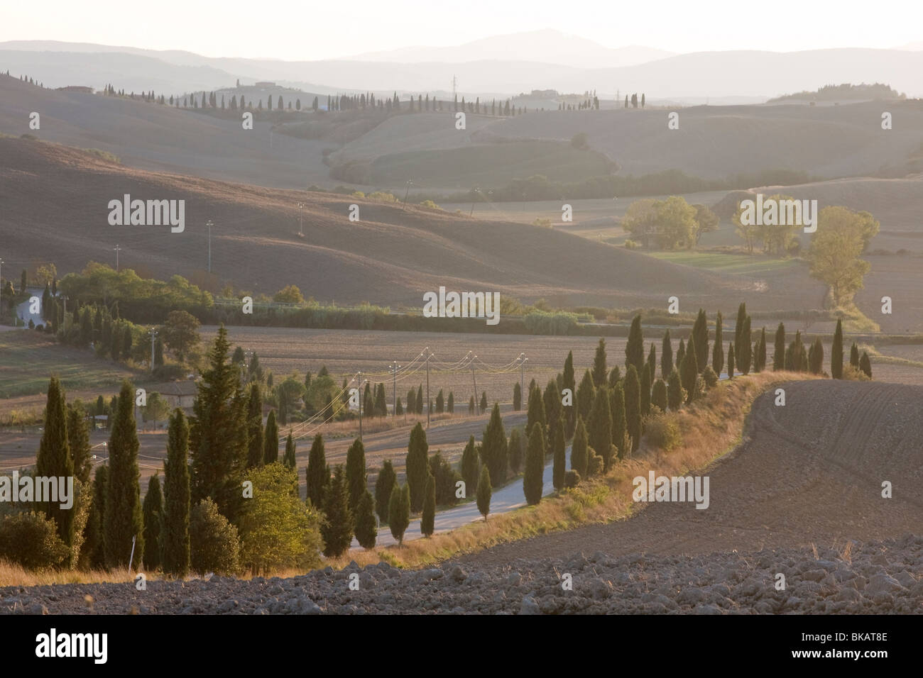 Early morning fog at Tuscany, Italy Stock Photo - Alamy