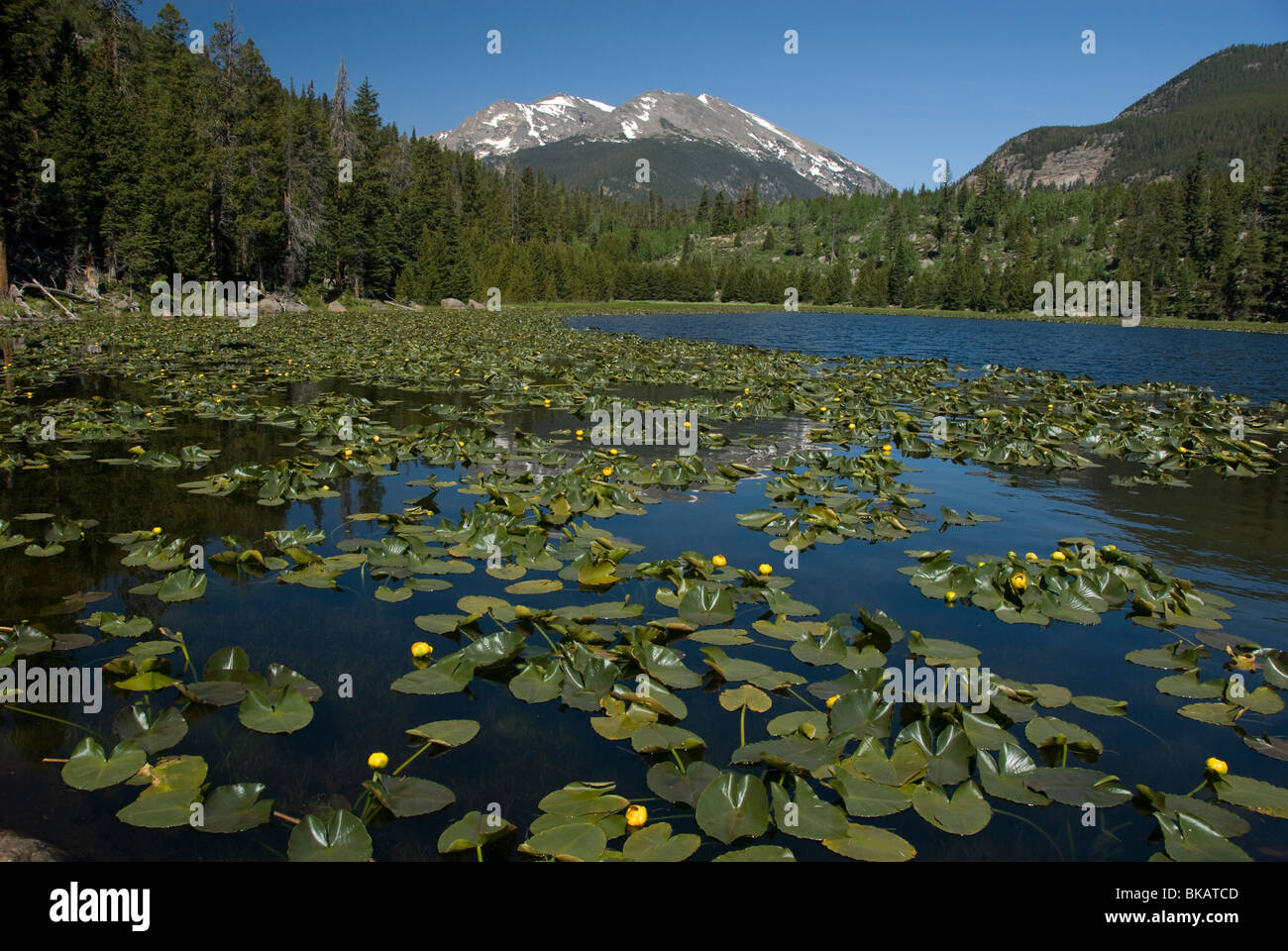 Cub Lake, Stones Peak, Rocky Mountains ,Rocky Mountain National Park ...