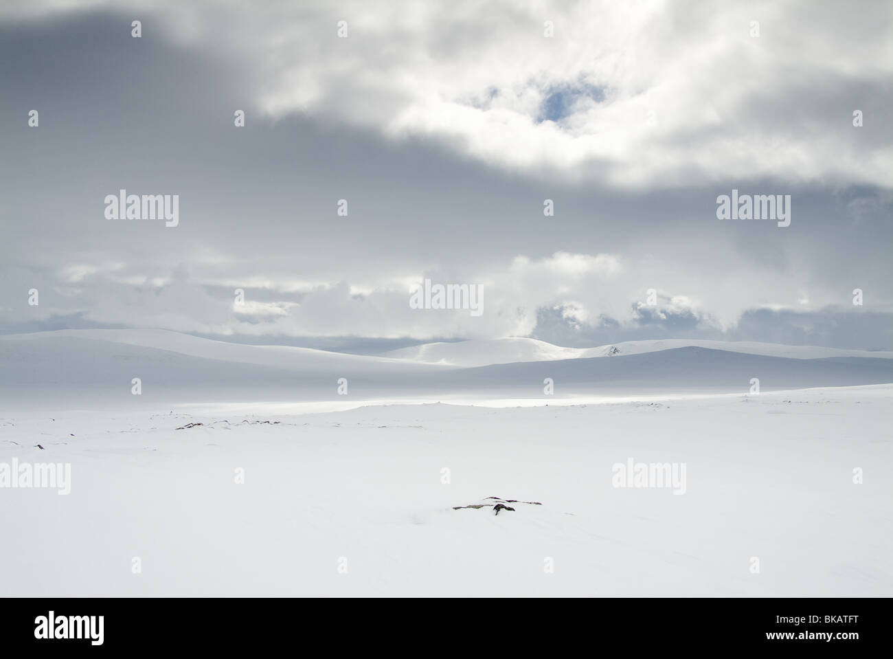 Magical soft snowy white mountain landscape with dramatic sky Finland ...