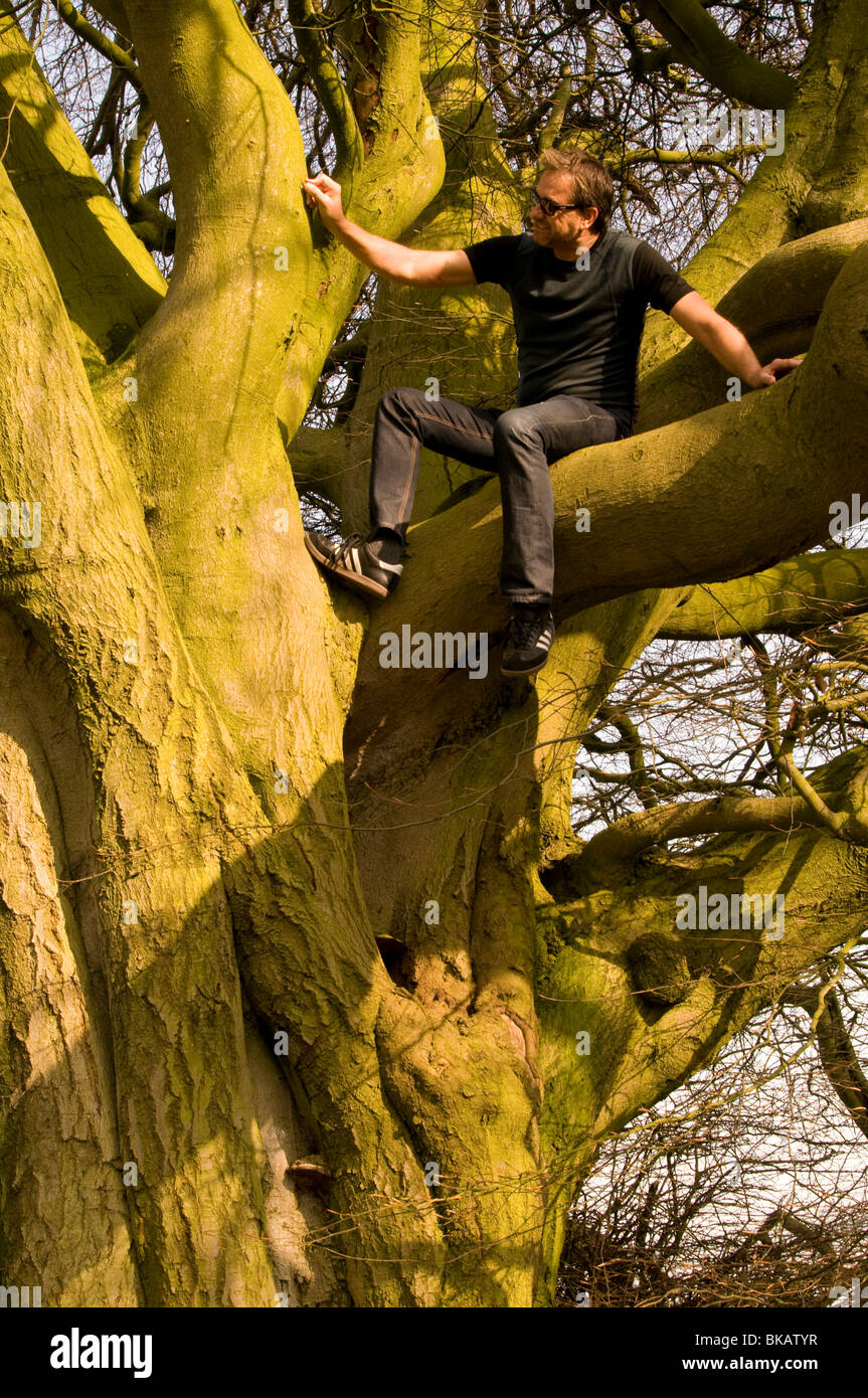 The chestnut man hi-res stock photography and images - Alamy
