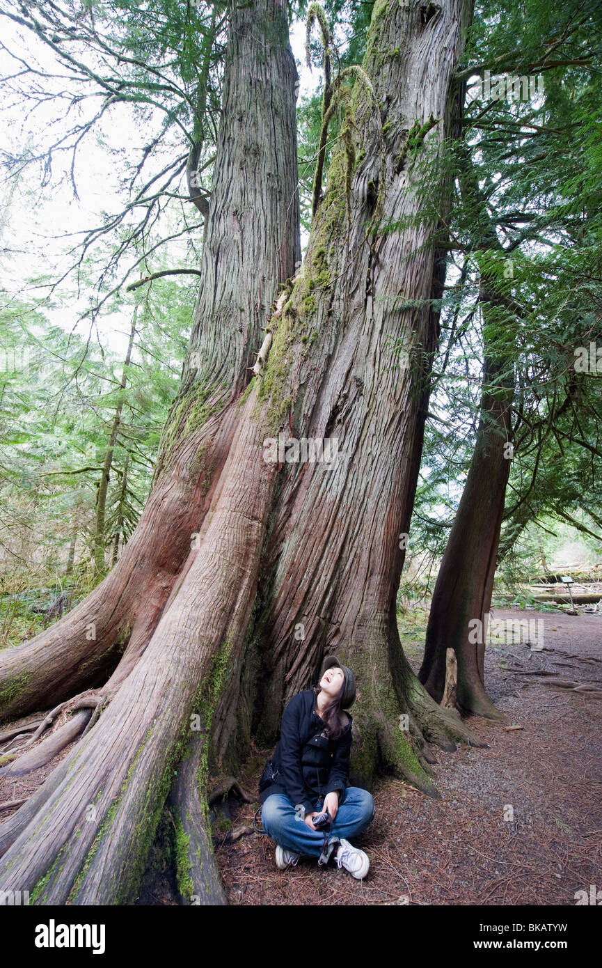 old growth forest in Cathedral Grove MacMillan Provincial Park ...