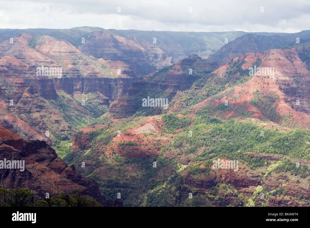 Waimea Canyon State Park, Kauai, Hawaii, Usa Stock Photo - Alamy