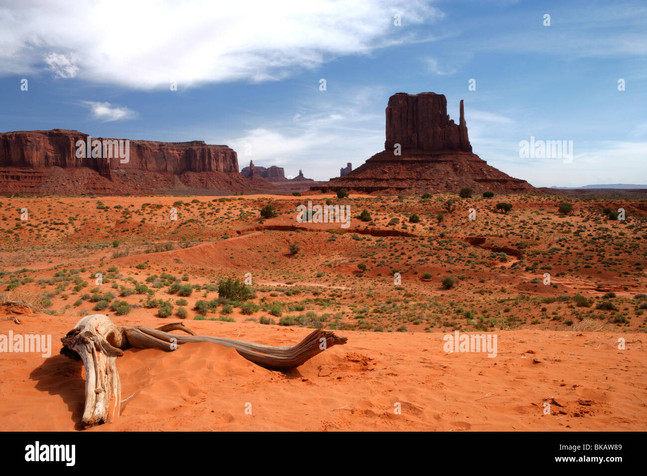 Teapot monument hi-res stock photography and images - Alamy