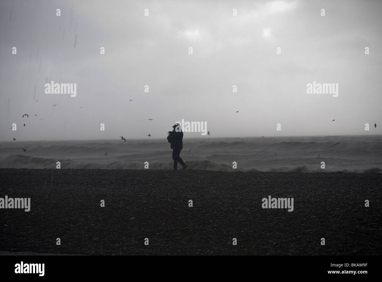 Lone figure walking through high wind and rain along the beach in ...