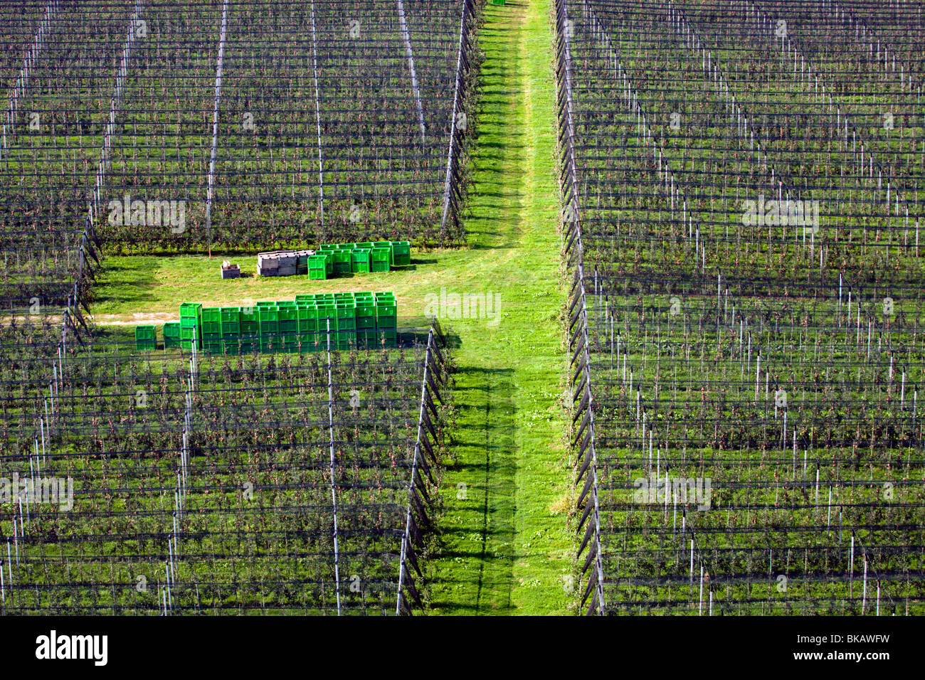 Above the orchard hi-res stock photography and images - Alamy