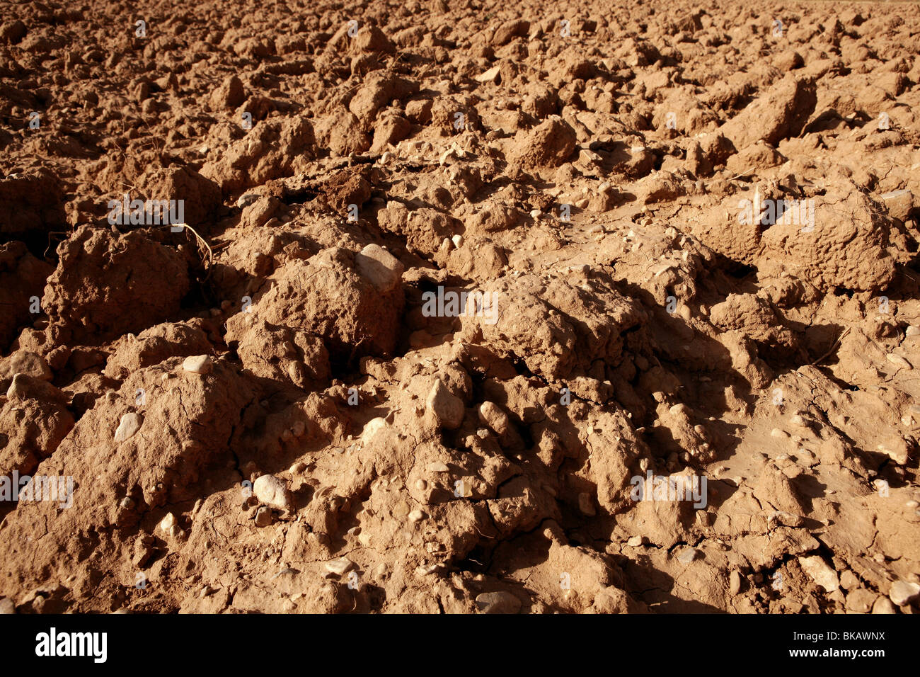 Clay red agriculture textured soil of farmanland Stock Photo - Alamy