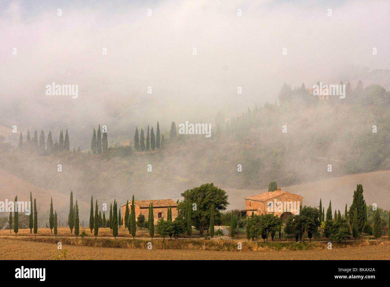 Early morning fog at Tuscany, Italy Stock Photo - Alamy