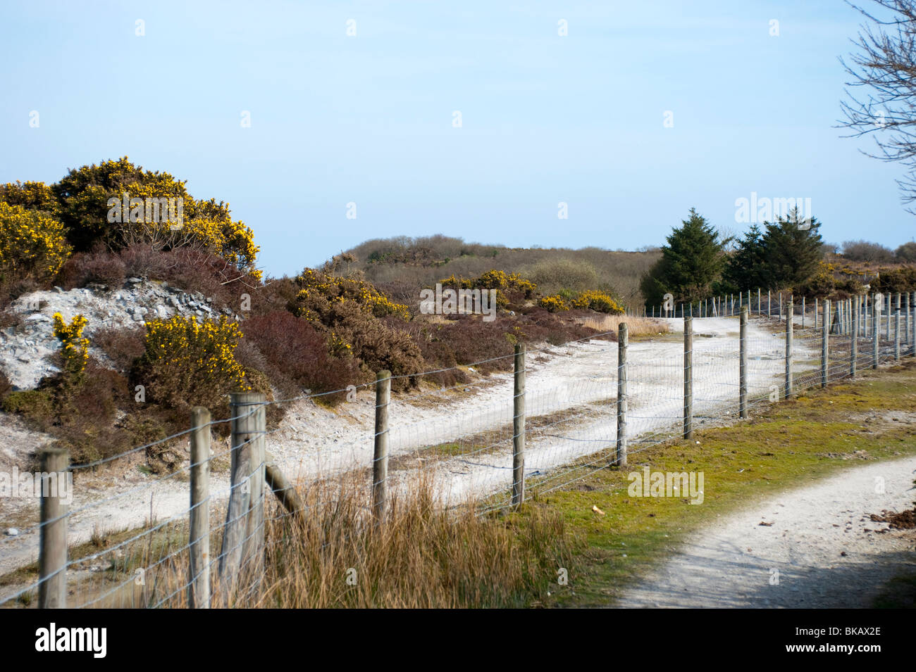 Part of the Clay Trails, St Austell Cornwall Stock Photo - Alamy