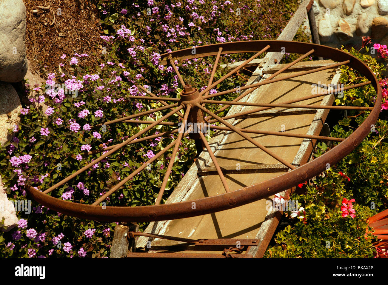 Flower wheel hi-res stock photography and images - Alamy