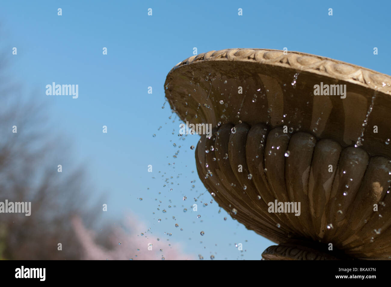Spring fountain hi-res stock photography and images - Alamy