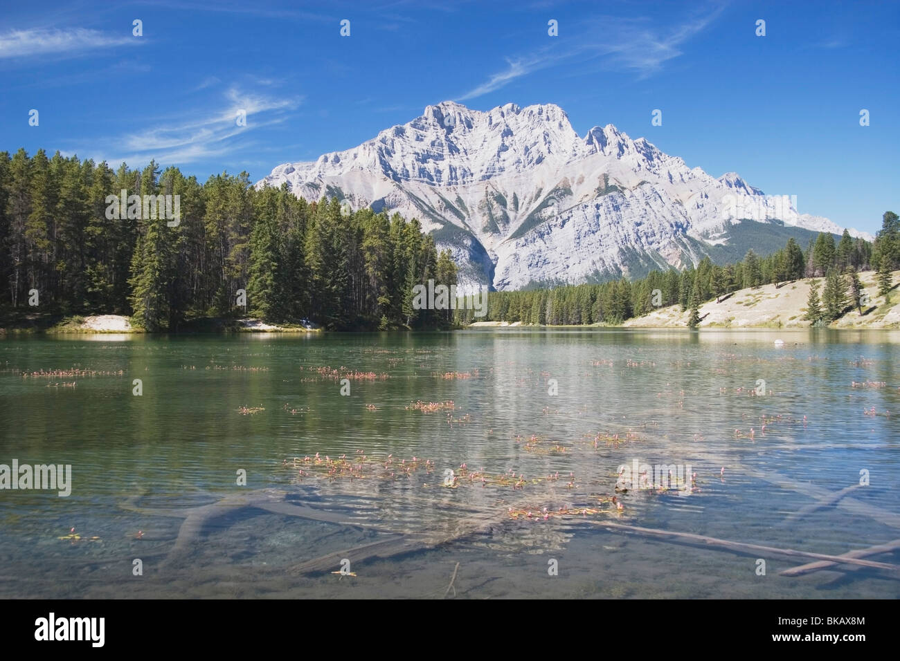 Johnson Lake, Cascade Mountain, Banff National Park, Alberta, Canada ...
