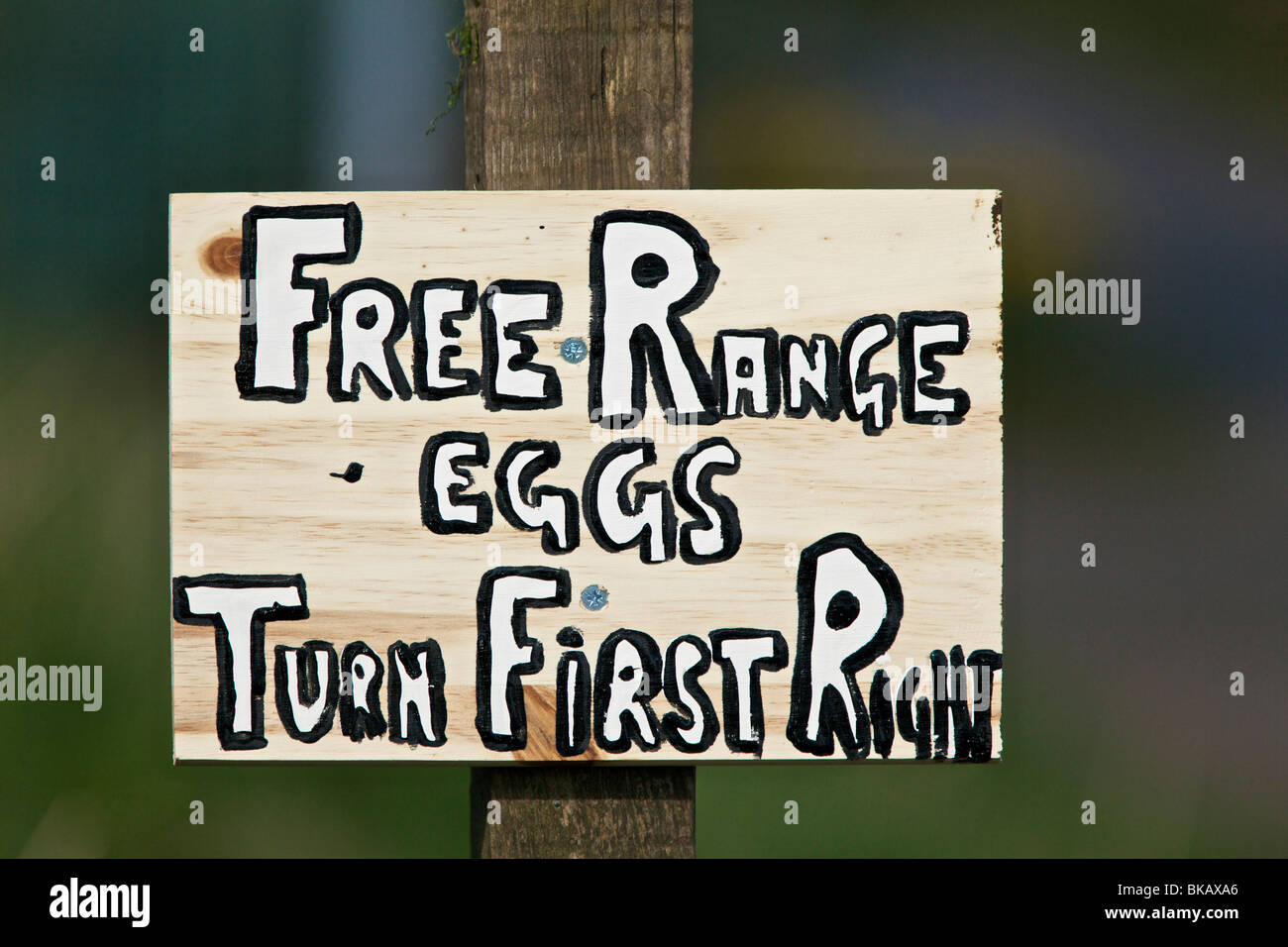 "Free range eggs for sale"sign at farm road end Stock Photo - Alamy