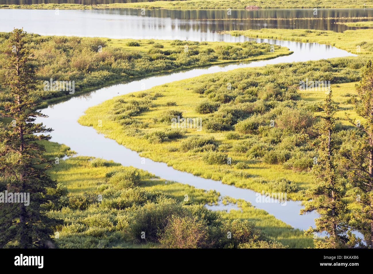 Delta Of The Elbow River, Calgary, Alberta, Canada Stock Photo - Alamy