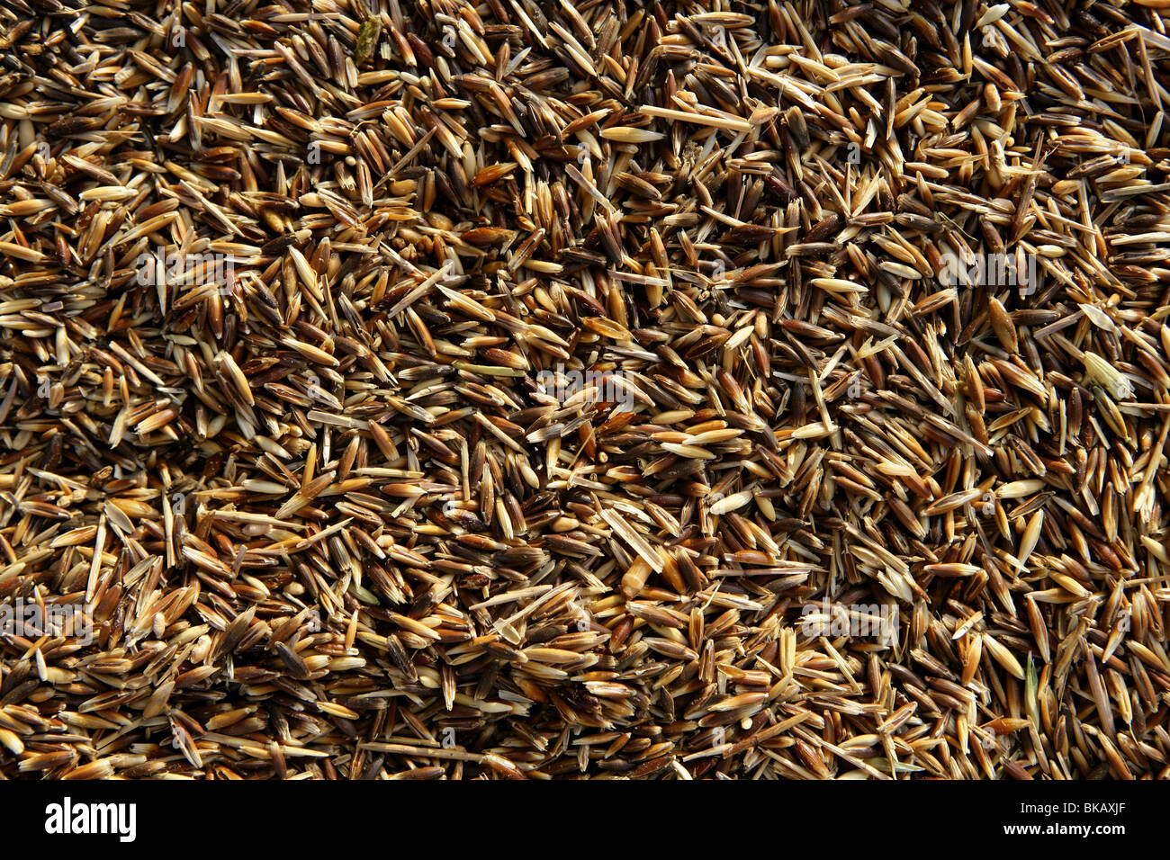 Oat cereal image Oats texture background Stock Photo - Alamy