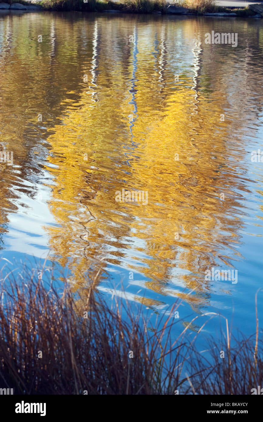 Airdrie Alberta Stock Photos & Airdrie Alberta Stock Images - Alamy