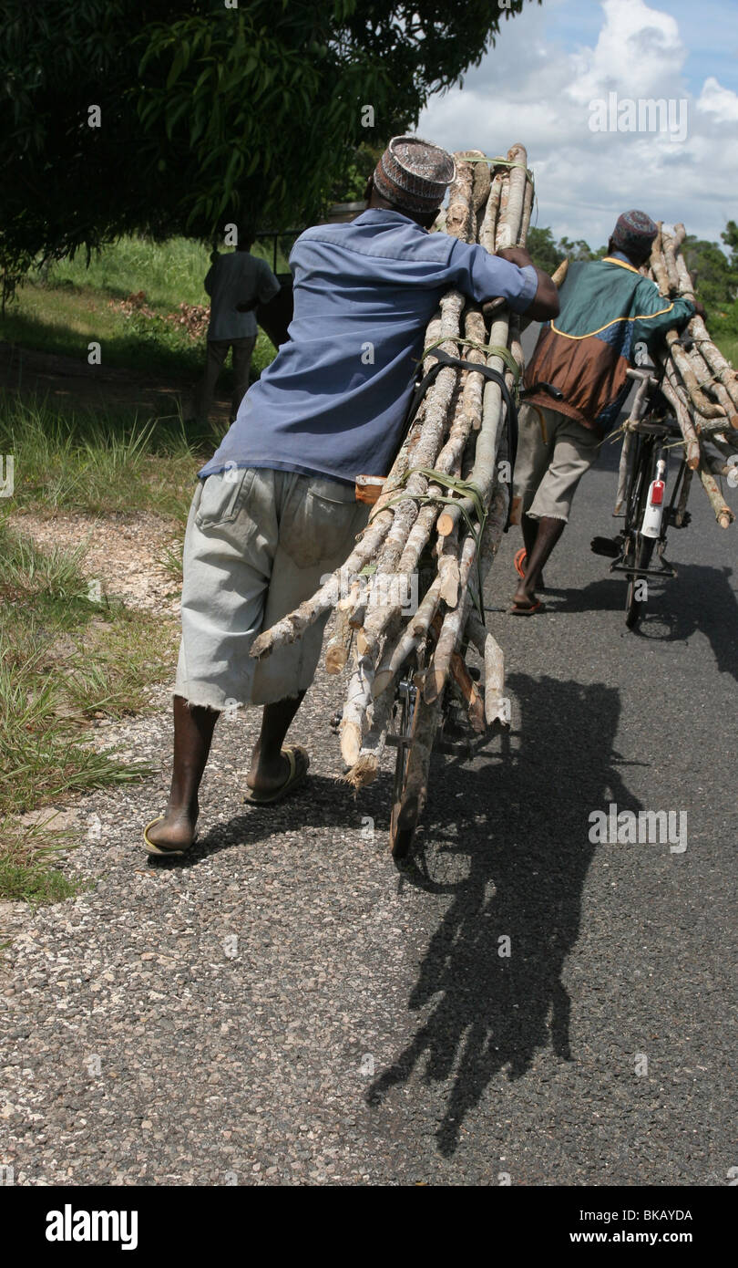 men collecting firewood Tanzania Stock Photo - Alamy