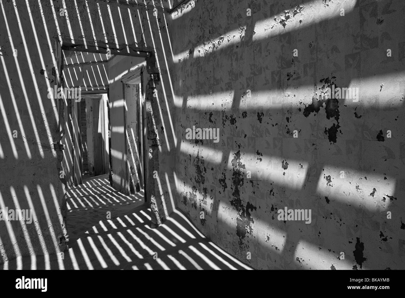 Light Penetrates through the old floorboards casting shadows on the ...