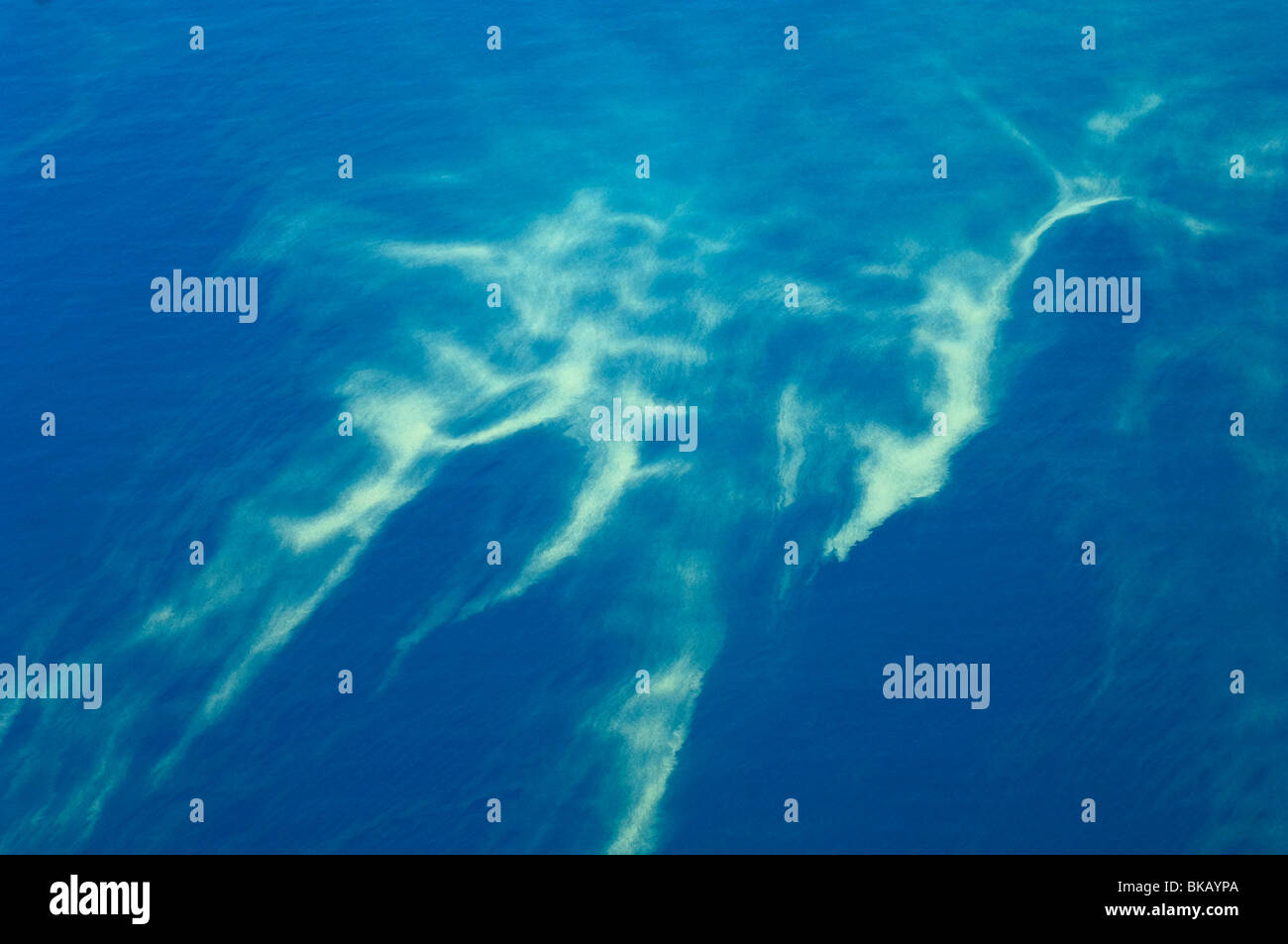 Aerial cyanobacteria, Trichodesmium, bloom off Queensland Coast ...
