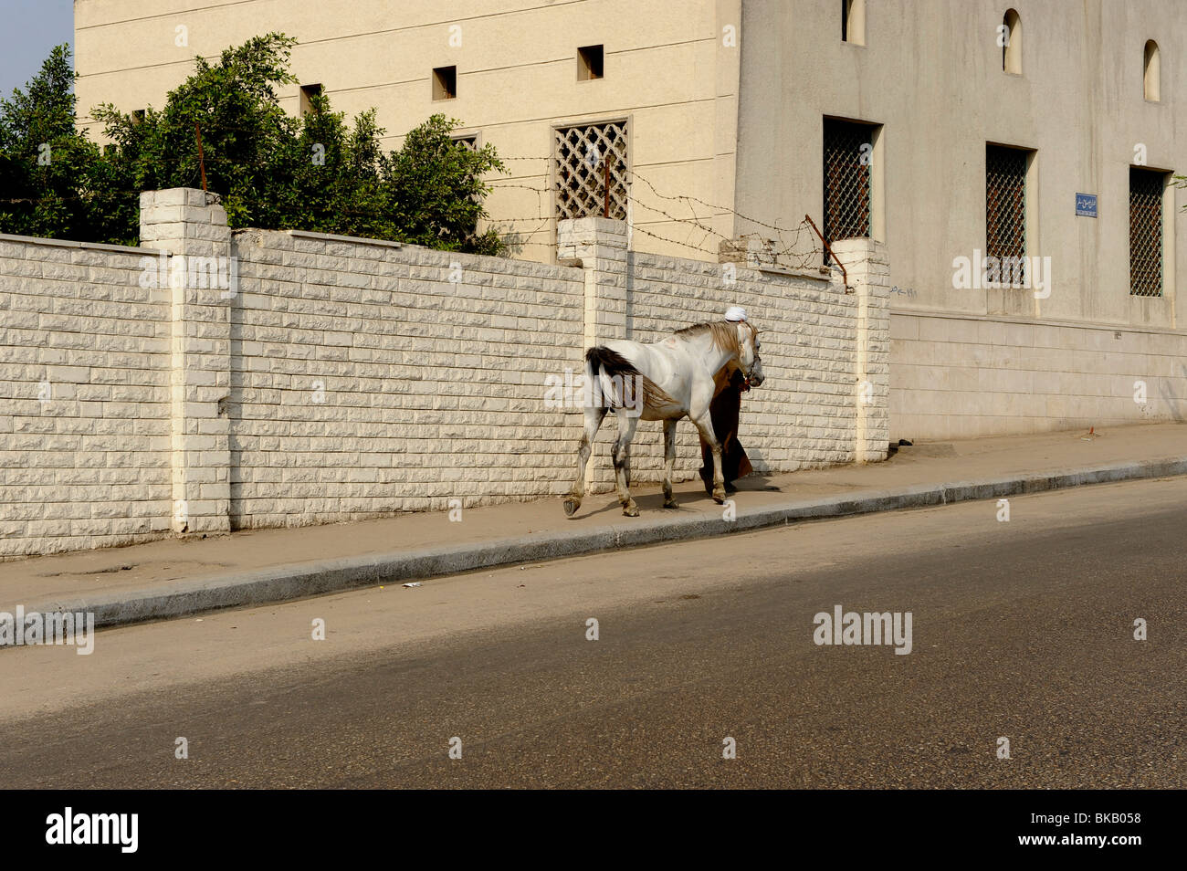 Zabbaleen people egypt recycle waste hi-res stock photography and ...