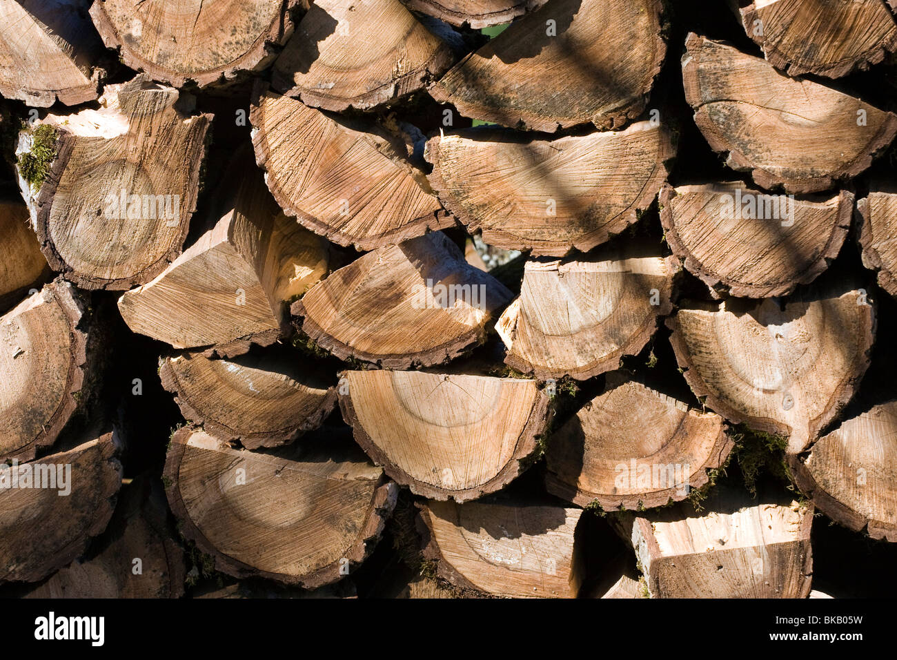 Rows of logs hi-res stock photography and images - Alamy