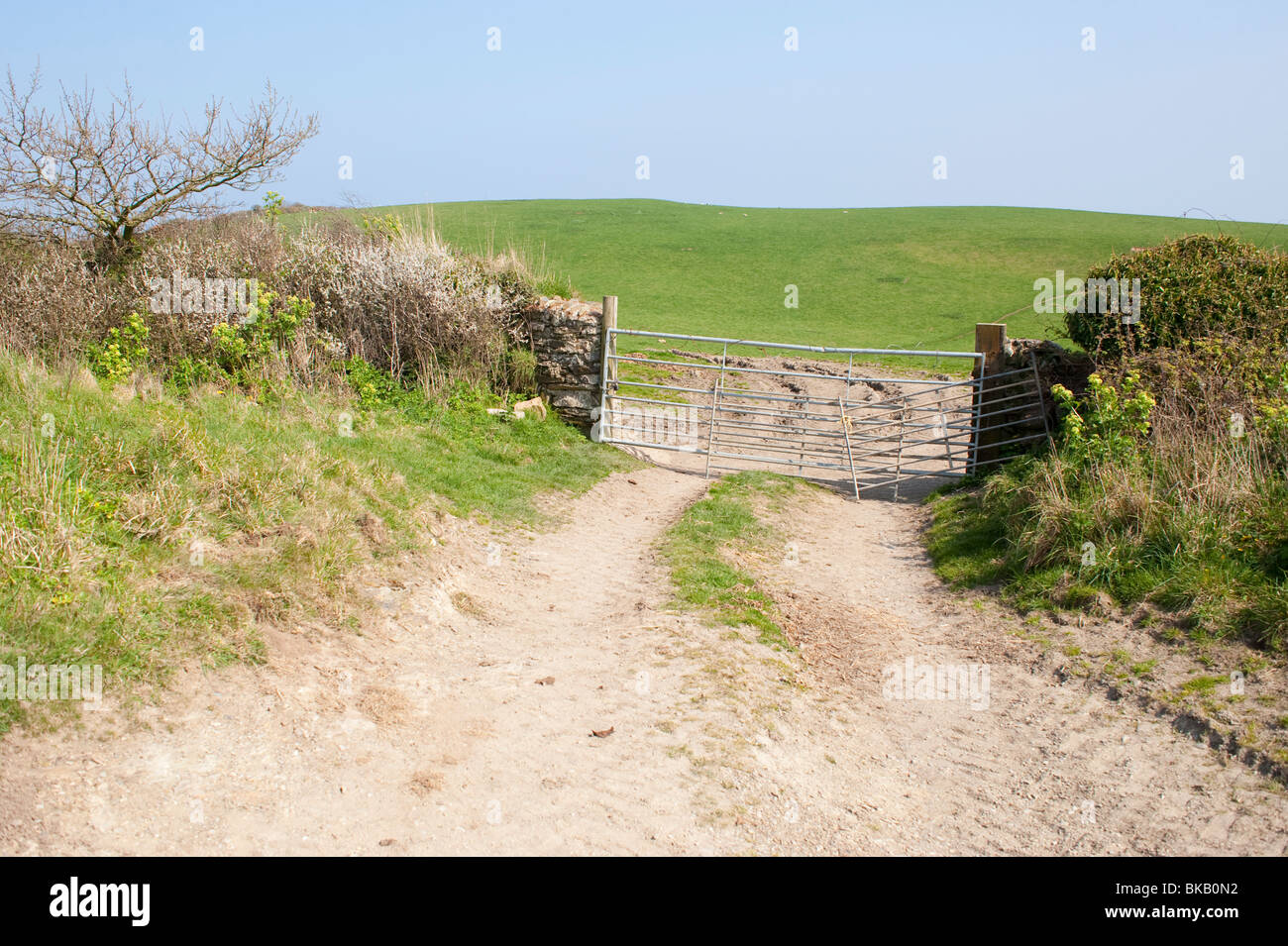 Metal farm gate leading into a field Stock Photo - Alamy