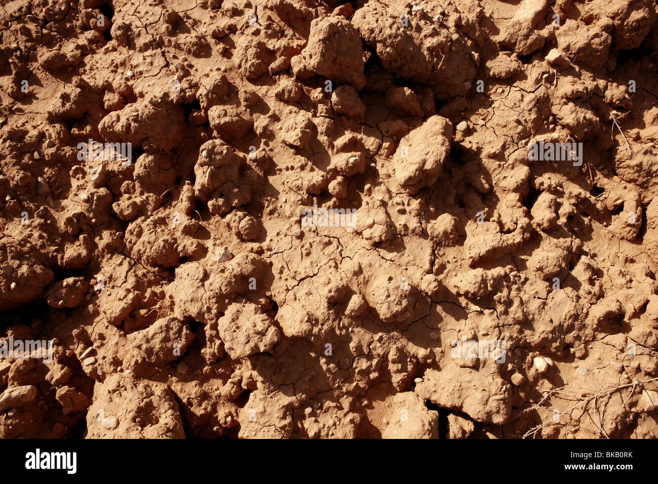 Clay red agriculture textured soil of farmanland Stock Photo - Alamy