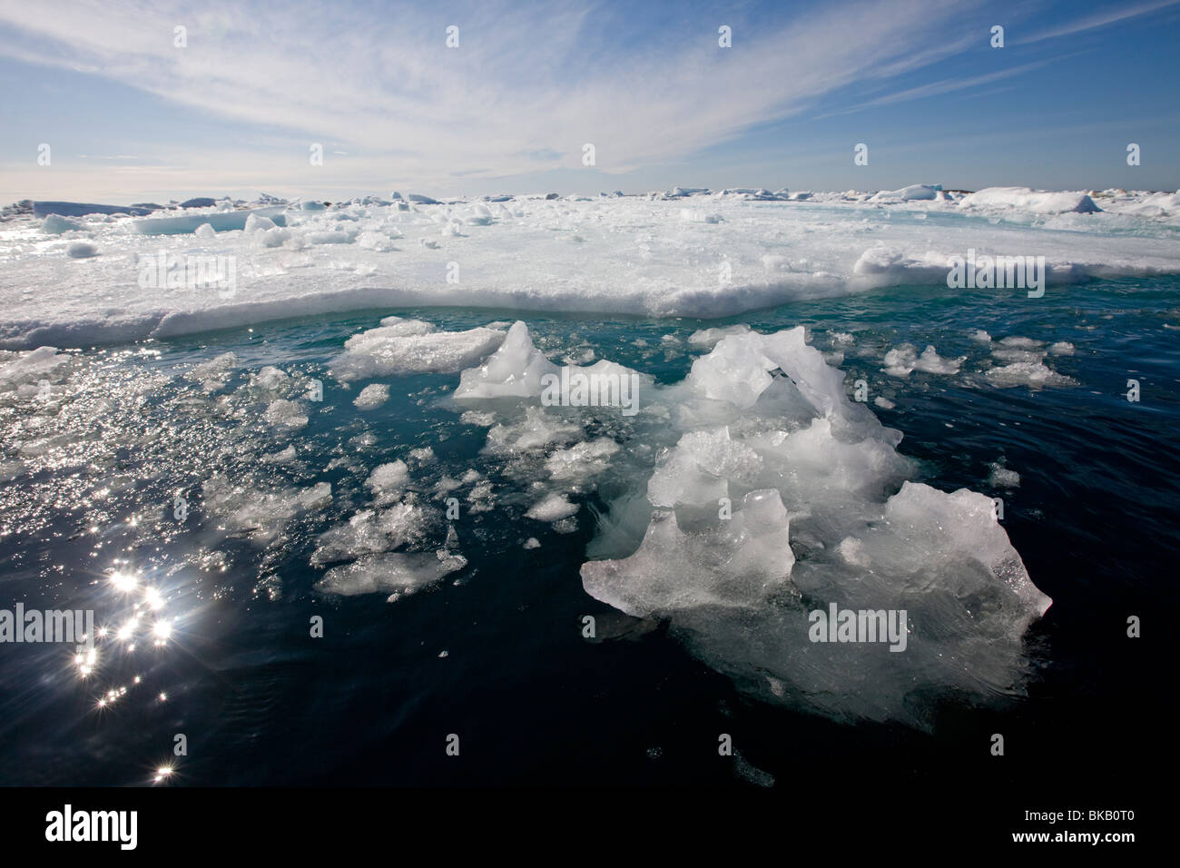 Norway Svalbard Storfjorden Fjord Floating icebergs at edge of first ...